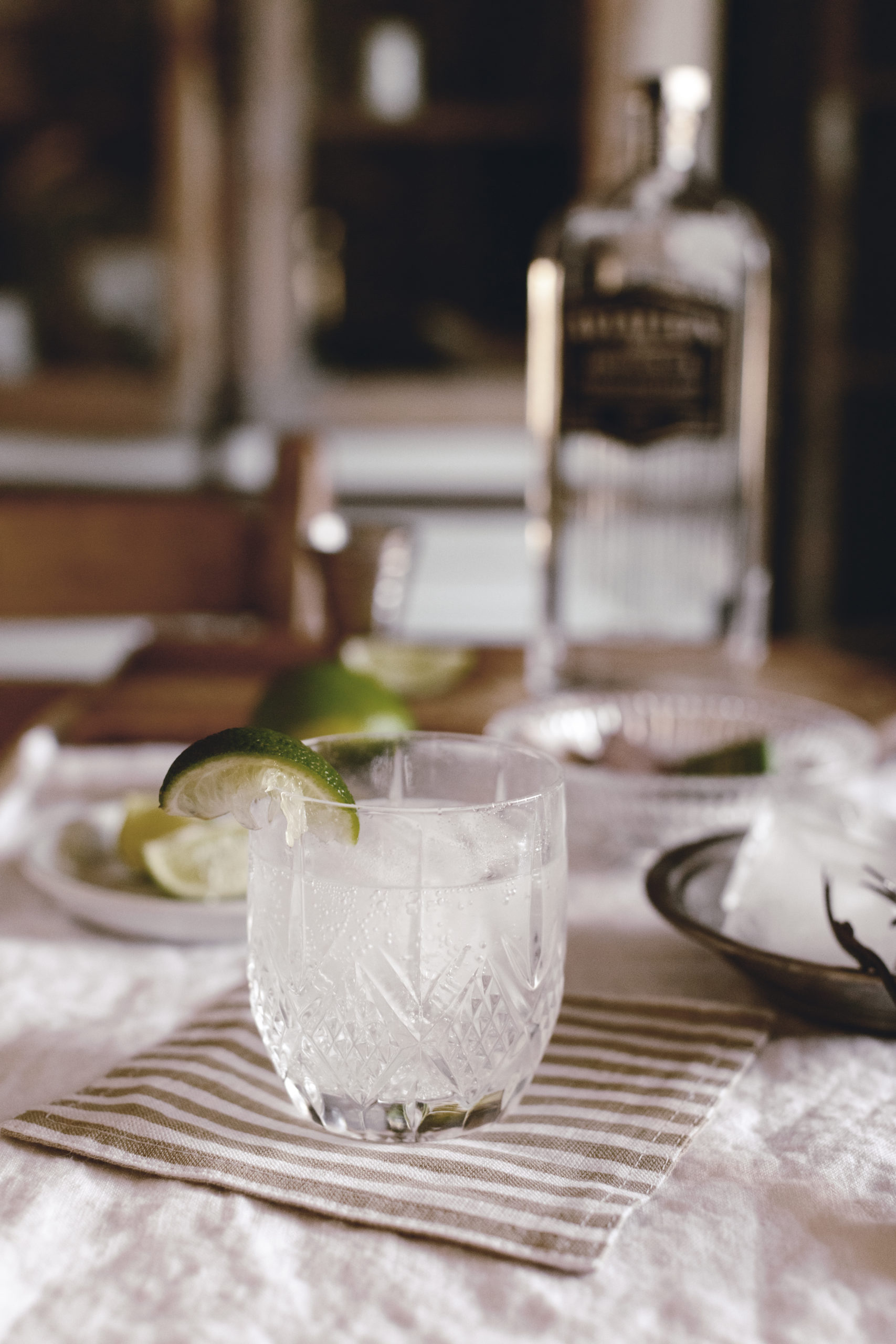 Classic Cocktail: Gin and Tonic • Old Soul Blog